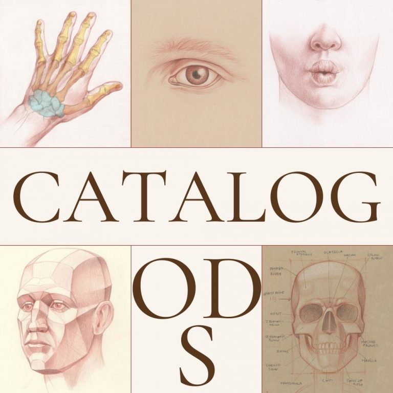 Open Drawing Sessions | Facial Features - Roberto Osti's Web Site