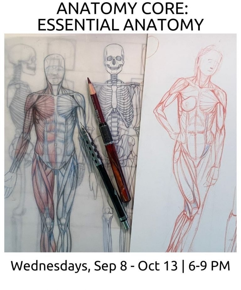 Online Course Anatomy Core Essential Anatomy Roberto Osti S Web Site