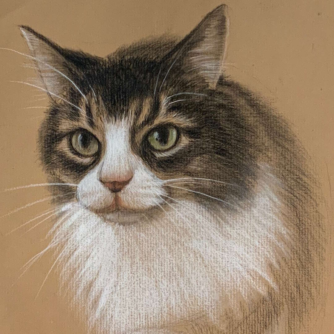 Drawing Pet Portraits II #291 - Roberto Osti's Web Site